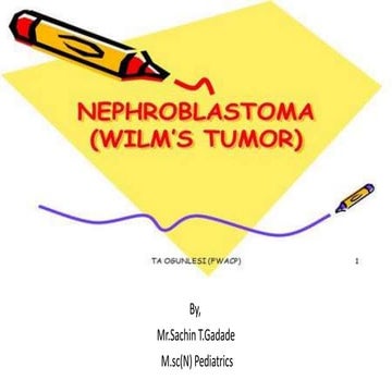 Nephroblastoma | PPTX