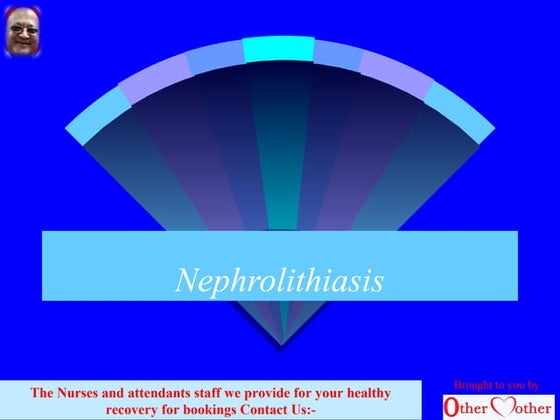 Urinary Tract Infection (UTI) | PPT