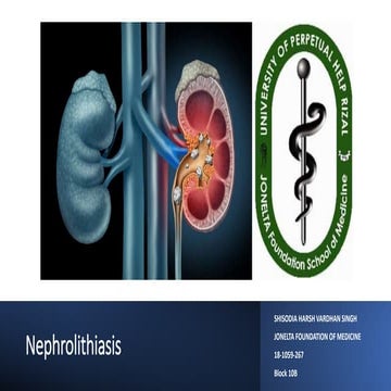 Presentation kidney-stone final | PPTX