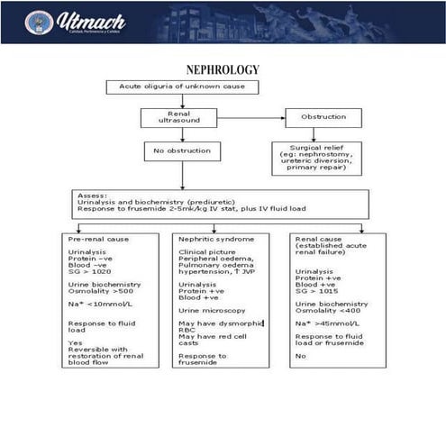 Nephrology algorithm | PPT