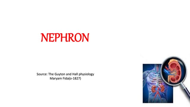 Structure of nephron and functions of its parts | PPTX | Endocrine and Metabolic Diseases ...