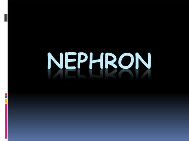 Structure of nephron and functions of its parts | PPTX