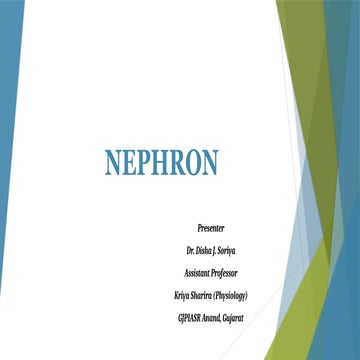 Renal Physiology -Nephron.pptx