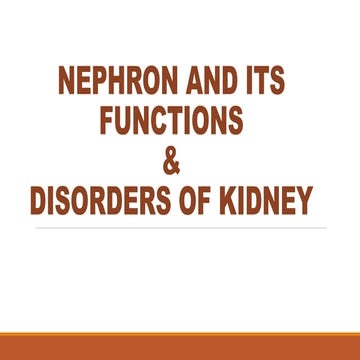 NEPHRON AND ITS FUNCTIONS.pptx