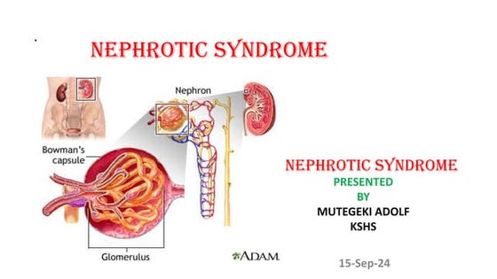 Nephritis slide share ,ppt.pptx definition , types , sign symptom ...