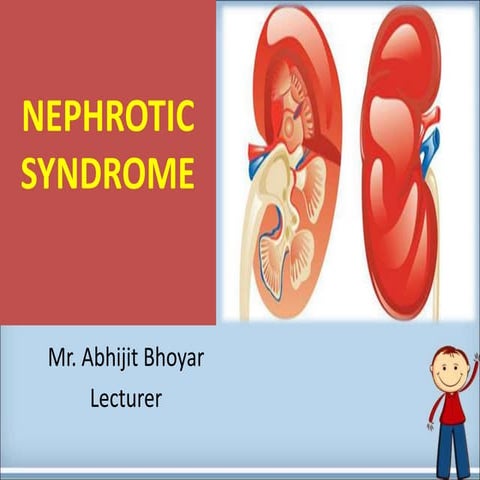 Nephrotic Syndrome Ppt What Is Nephrotic Syndrome? StoryMD