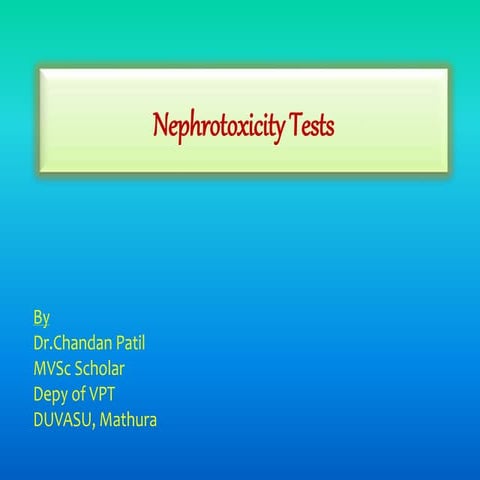 Tests for Nephrotoxicity and its Biomarkers | PPTX