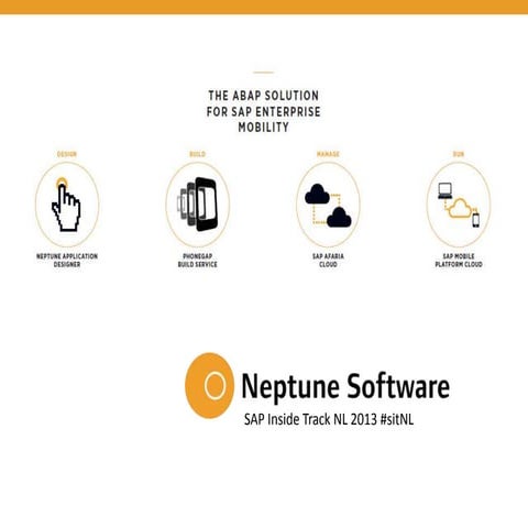 Neptune software sitNL 2013 | PPTX
