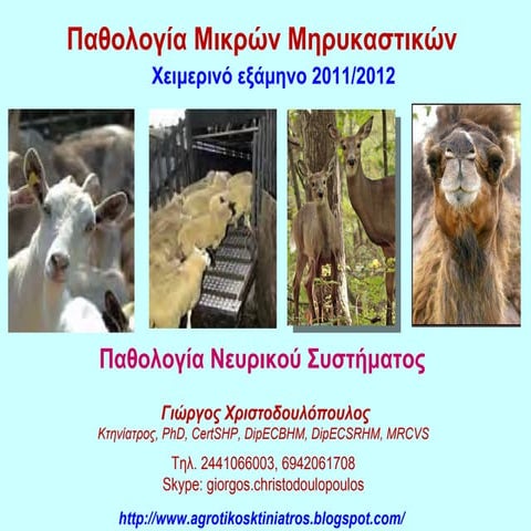 Παθολογία Νευρικού Συστήματος | PPT