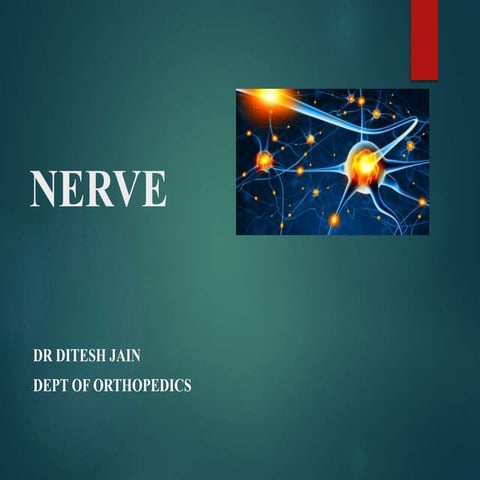 Upper Limb Nerve Anatomy | PPTX