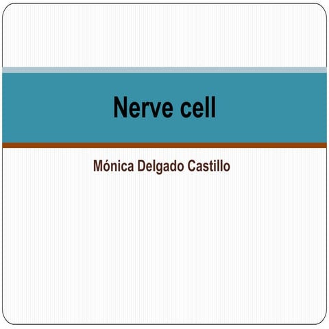 Nerve cell | PPTX | Brain and Nervous System Disorders | Diseases and ...