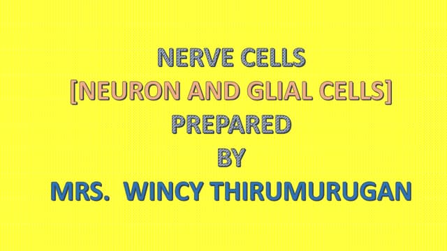 1 structure functions nerve cells | PPT