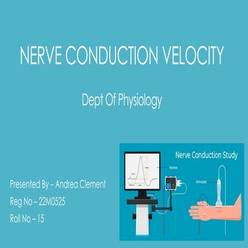 Nerve Conduction Velocity (NCV) Study: Principles, Procedure & Clinical ...
