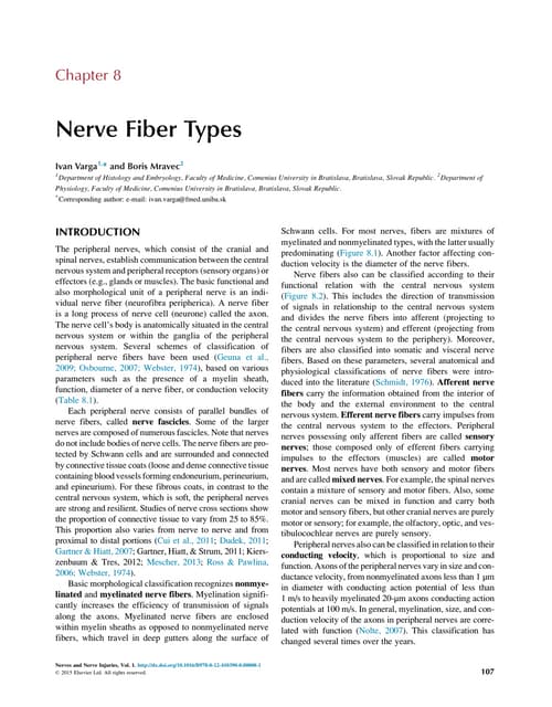 Classification of nerve fibres | PPTX