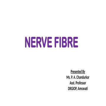 Classification and Properties of Nerve Fibre.pptx