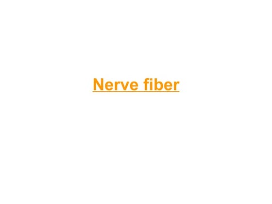 Classification of nerve fibres | PPT