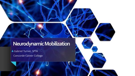 Neurodynamics & Mobilization of Lower Limbs | PDF