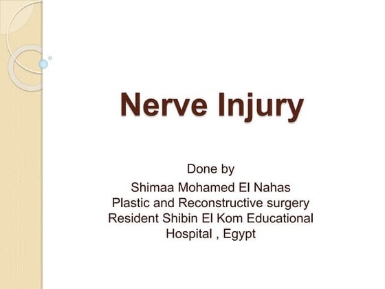 Theories of pain | PPT