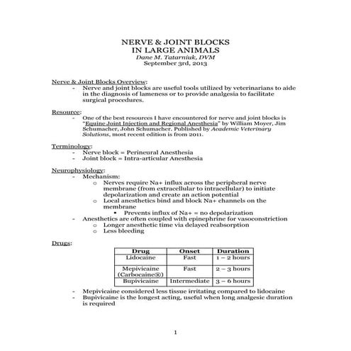 Nerve & Joint Blocks | DOCX