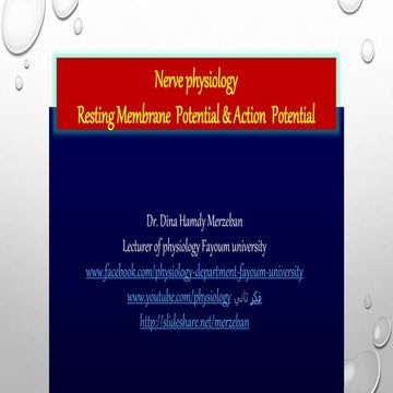 Nerve physiology | PPTX