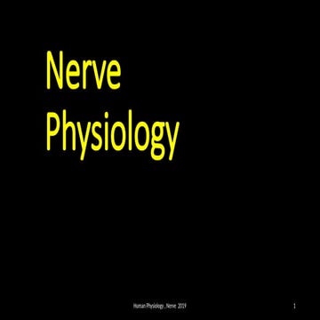 Nerve physiology and good explanation.pptx