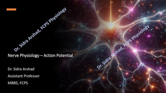catheterization laboratory procedure | PPT