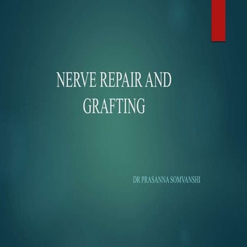 Nerve repair and grafting | PPTX