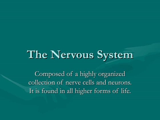 Nervous system PPT for grade 10 (basic concepts regarding human nervous ...