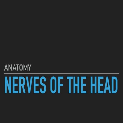 Nerves of the head | PPT
