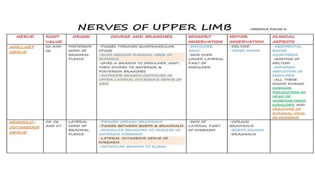 Table of upper limb muscles | PPT