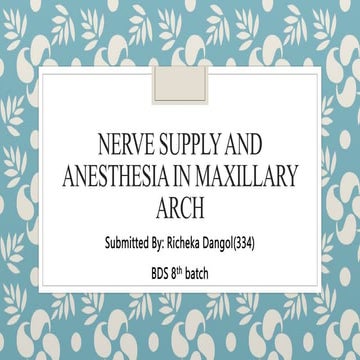 Nerve supply and anesthesia in maxillary arch.pptx
