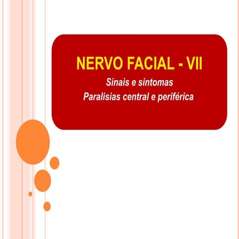 Anatomia da Face Irrigação e Inervação | DOC