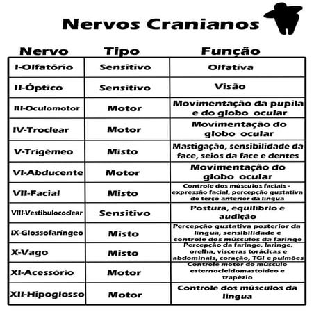 Ossos do membro pélvico canino | PDF