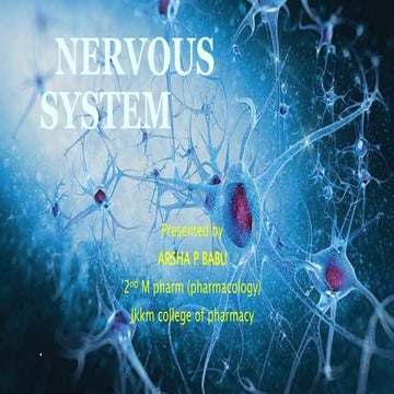 Nervous system ppt | PPTX
