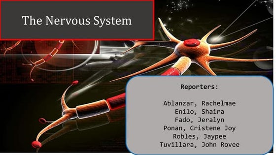 Nervous system - Class V | PPTX