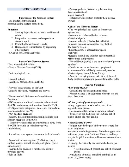 physiology : the nervous system | PPT | Brain and Nervous System ...