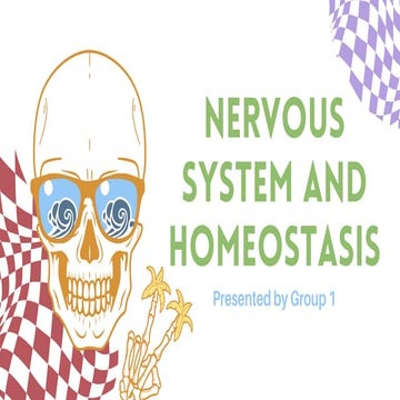 Nervous System and Homeostasis | PDF | Brain and Nervous System ...