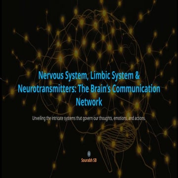 Nervous-System-Limbic-System-and-Neurotransmitters-The-Brains ...
