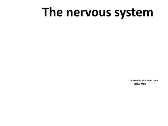 NERVOUS SYSTEM - grade 10.pptx