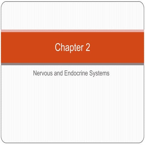 Nervous and endocrine system | PPT