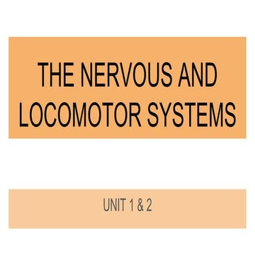 Nervous and locomotor systems | PPT