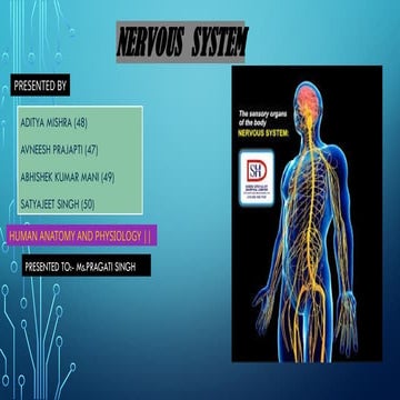 detailed study of Nervous system-1.pptx