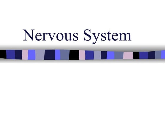Nervous | PPT