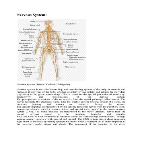 Peripheral Nervous System.pptx