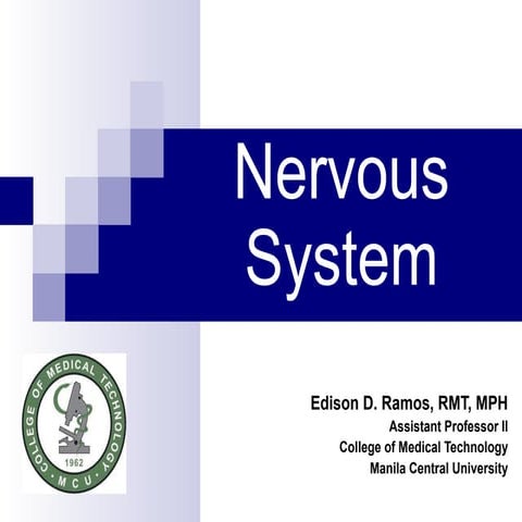 Nervous system | PPT
