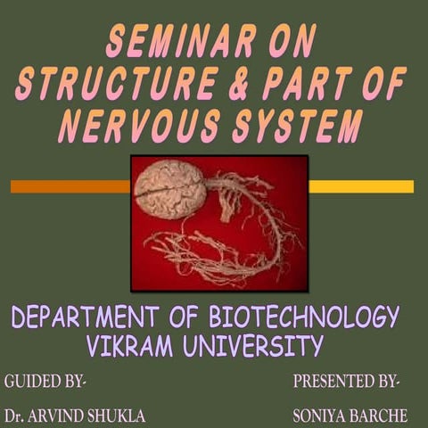 Nervous system | PPT
