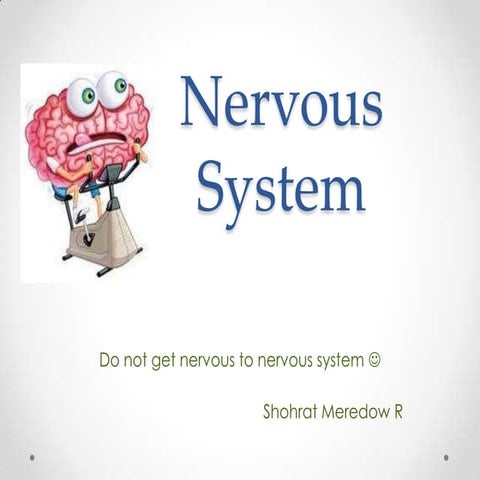 Grade 12 lesson 5 the nervous system | PPTX