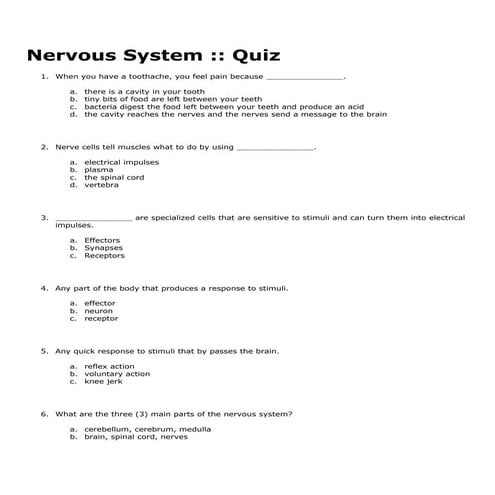 Nervous system | DOC