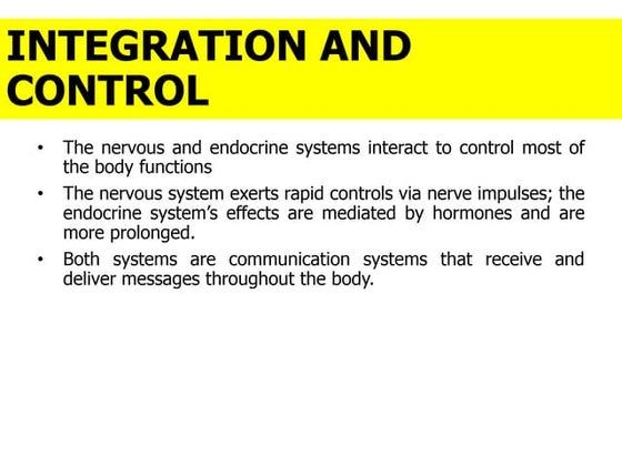 Nervous system in insects | PPT