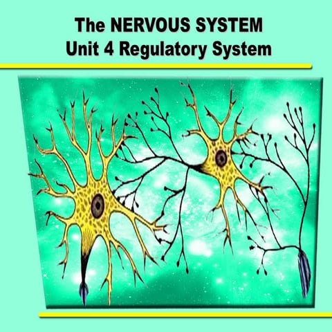 Nervous system | PPT